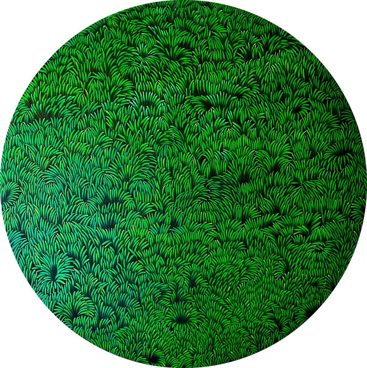 Swarth – Diana Adams Art